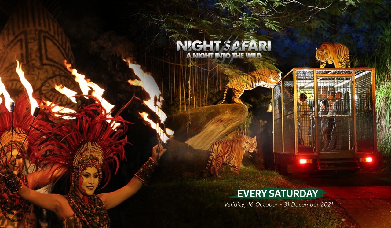 NIGHT SAFARI HADIR KEMBALI - Taman Safari Bali