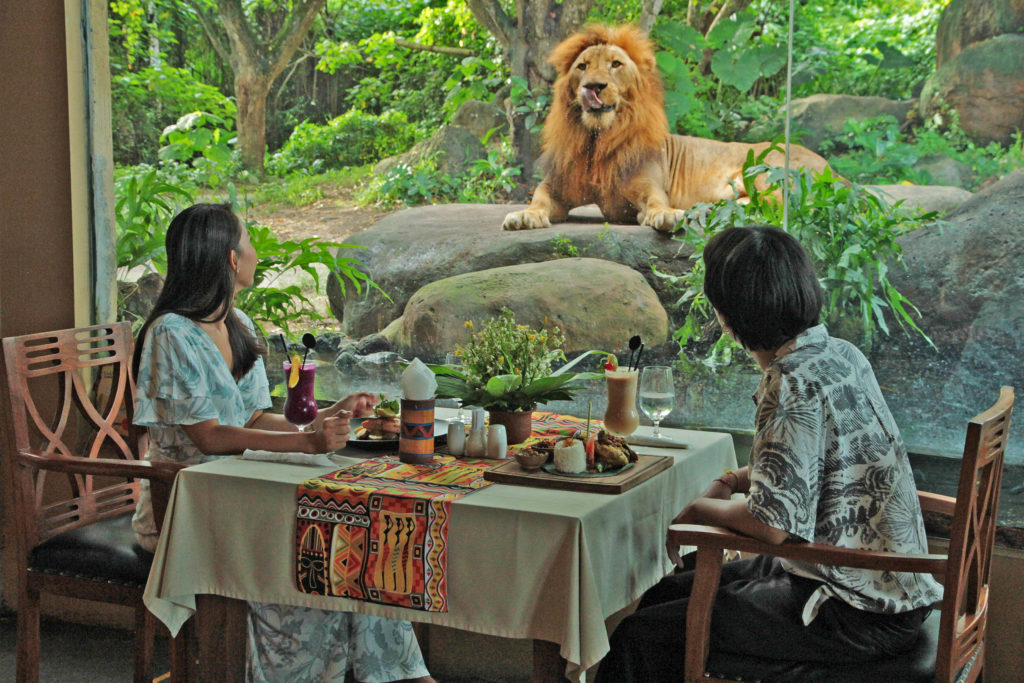 Makan Siang Unik di Tsavo Lion Restaurant - Taman Safari Bali