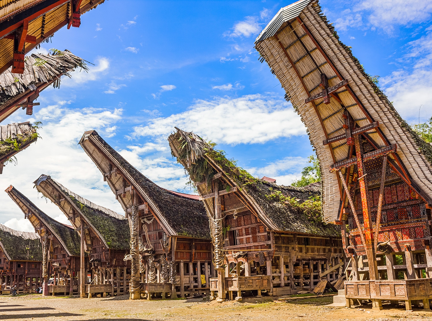 All About Toraja Tribes - Taman Safari Bali